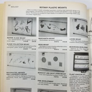 Vintage Frey Scientific Catalog Science Equipment Lab Supply ...