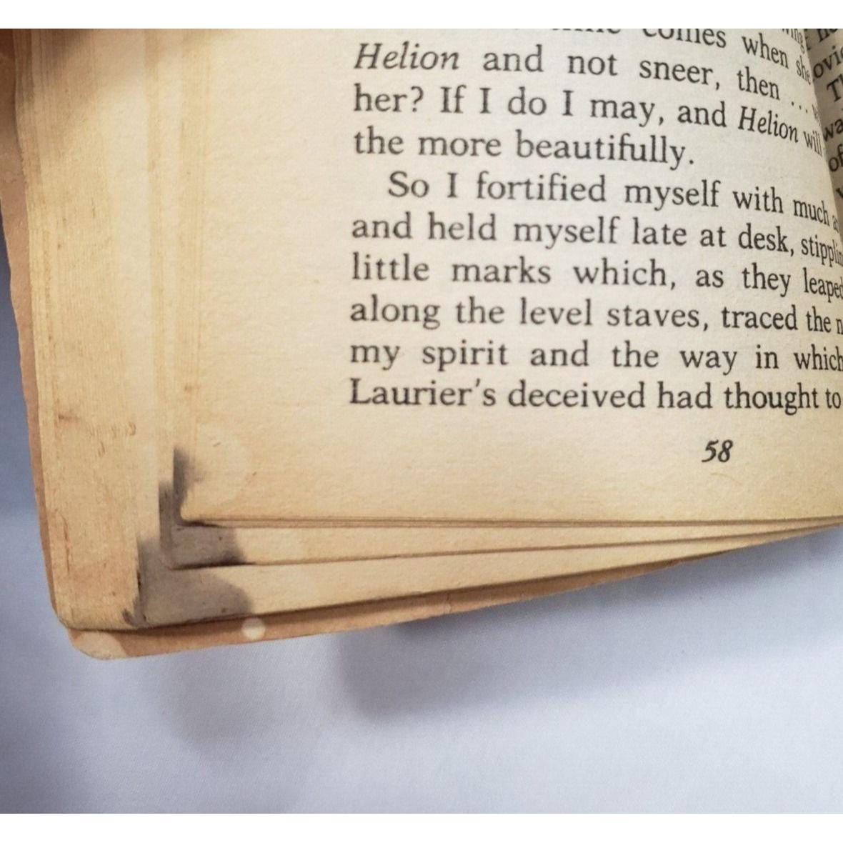 The Dark Chamber by Leonard Cline 1983 Pinnacle Paperback Vintage ...