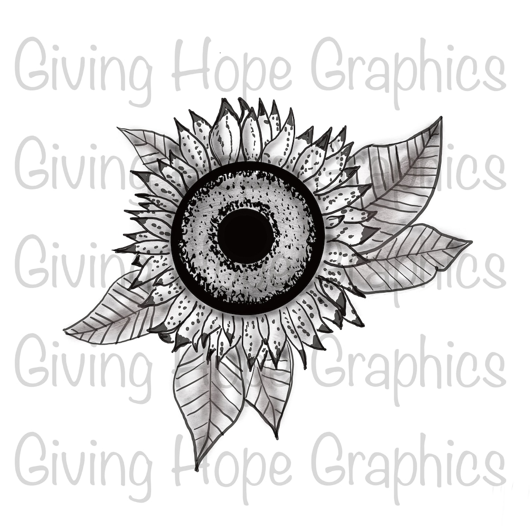 Hand Drawn Sunflower, Grayscale, Png, Sublimation, Clip Art, Direct to ...
