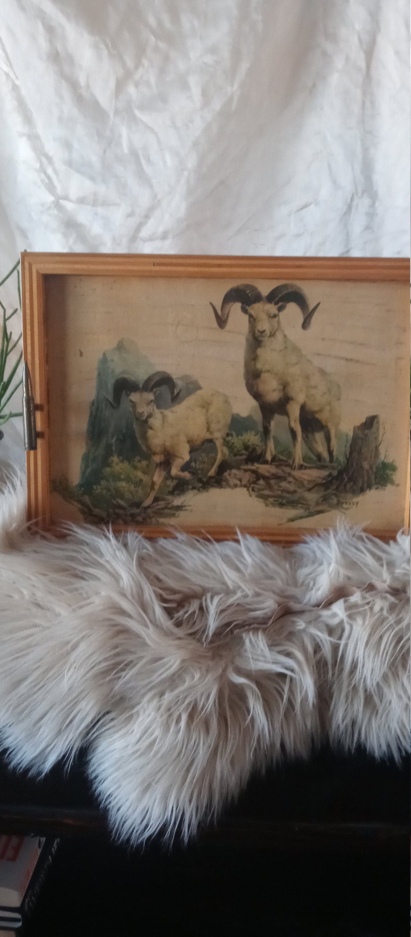 Fred Sweeney Wooden Ram Tray - Etsy