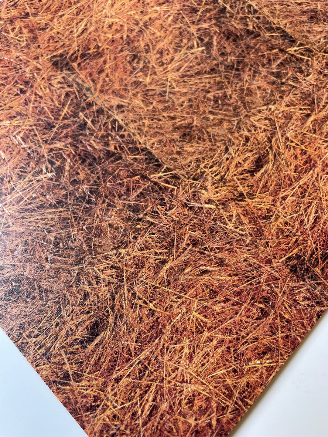 Hay. 8x10” Cork Backed Leather - Etsy