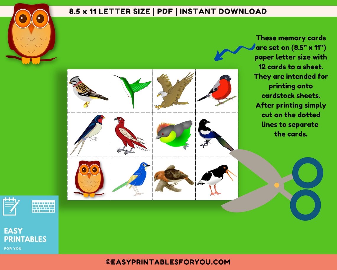 Birds Matching Game Birds Memory Match Game Printable Memory Cards ...