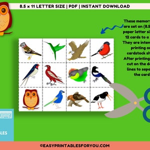 Birds Matching Game | Birds Memory Match Game | Printable Memory Cards ...