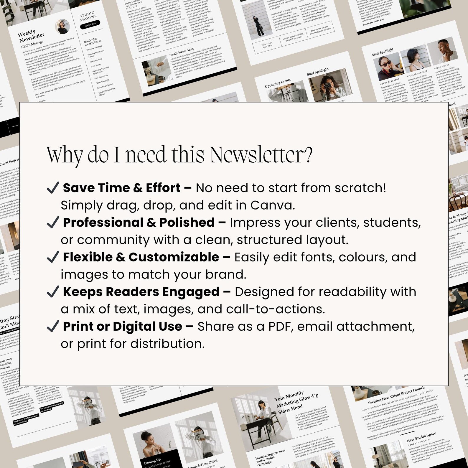 Editable Monthly Newsletter Template: Chic Minimalist Design (canva, A4 ...