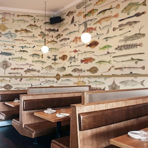 Fish Pattern Removable Wallpaper Mural – Peel and Stick - Etsy