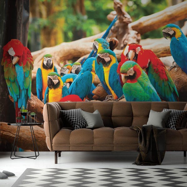 Parrot Mural Wallpaper - Etsy