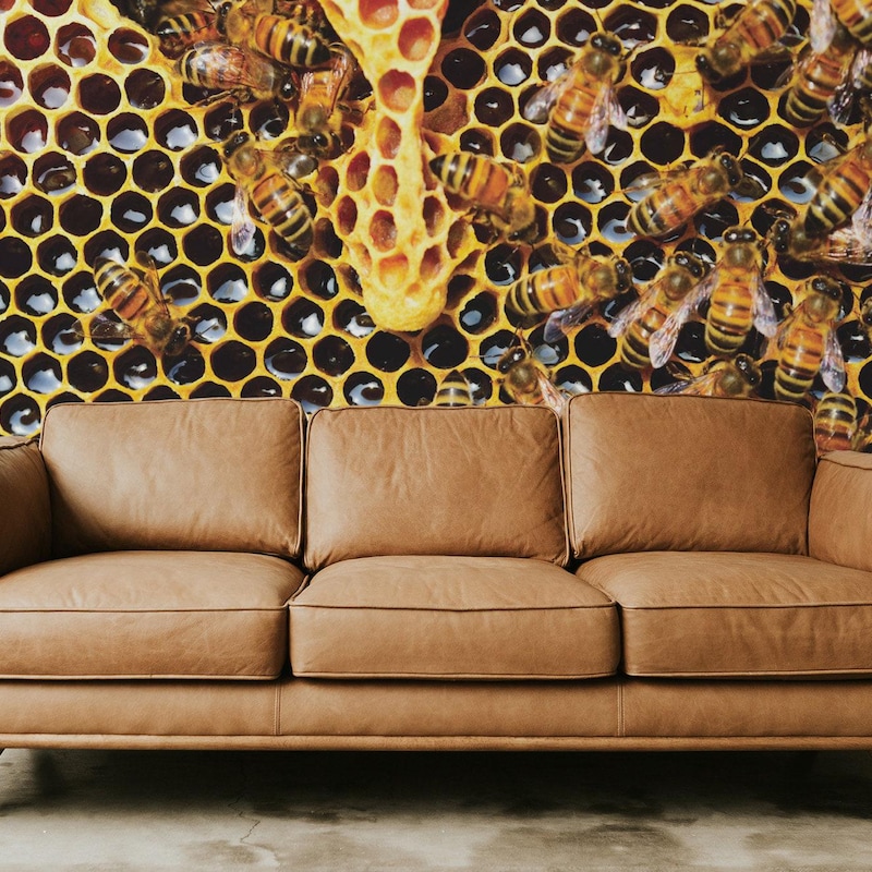 Honey Bees Wallpaper - Etsy