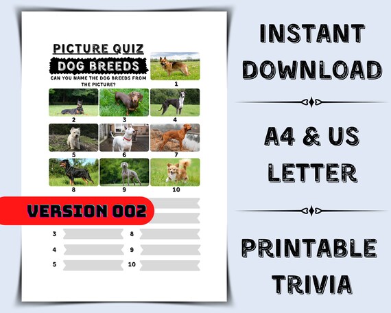Printable Picture Quiz Dog Breeds Pub Quiz Picture Round - Etsy