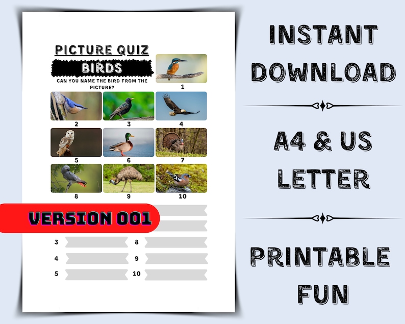 Bird Picture Quiz: Printable Trivia Game (PDF) - Etsy