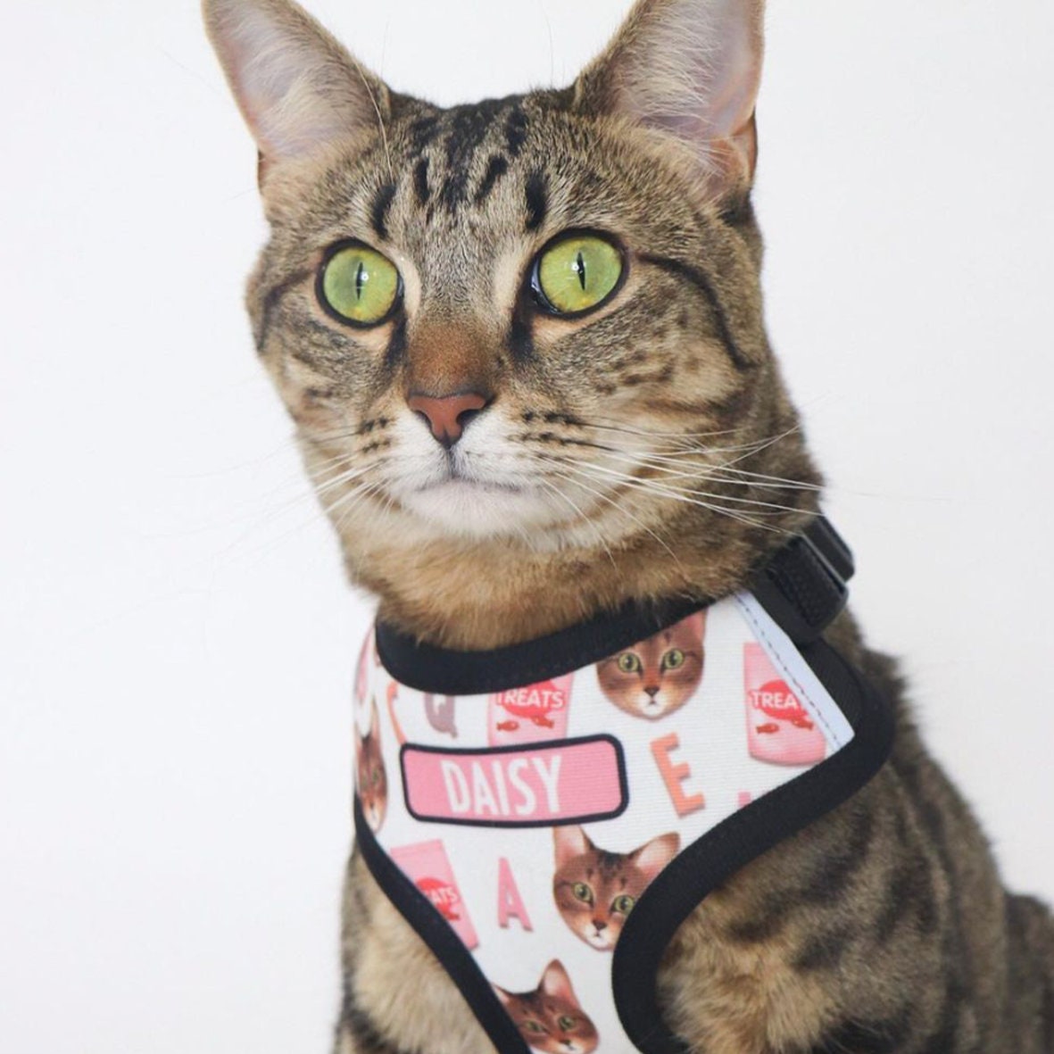 Custom Cat Harness | Adjustable Cat Harness | Custom Cat Name Harness ...
