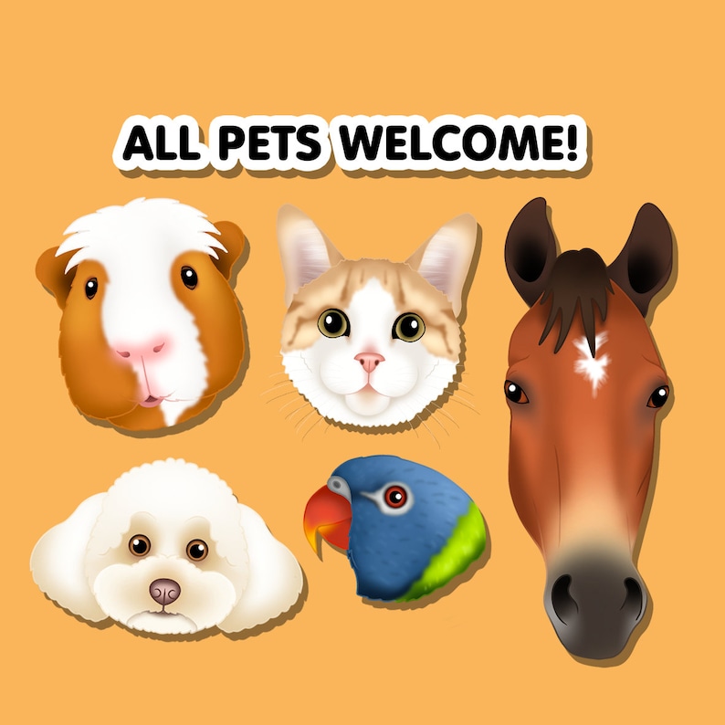 Pet Portrait GIF Pack Customised Pet Digital Moving Video Custom Pet ...