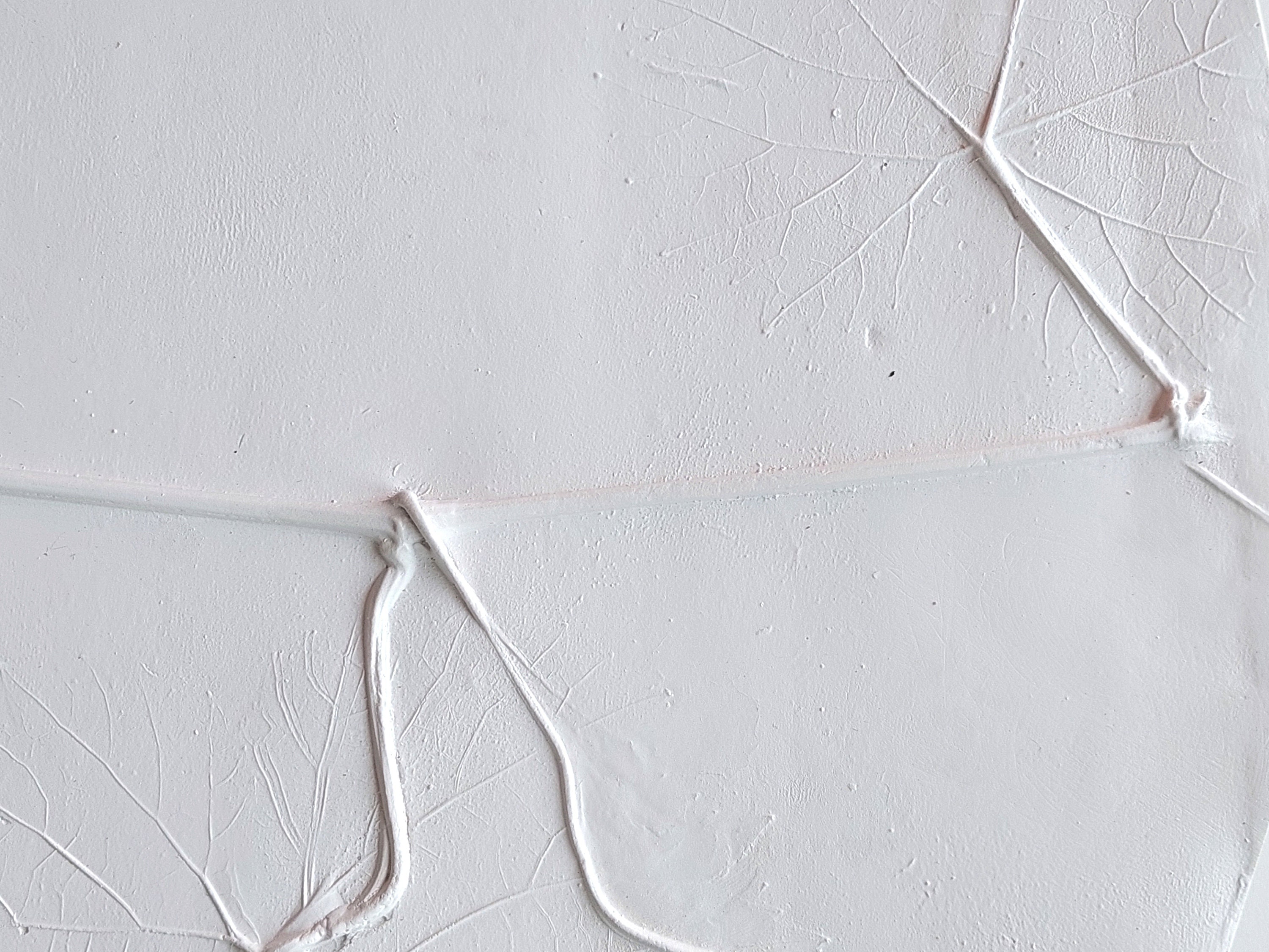 Handmade Botanical Bas Relief. Modernist Bas-relief Art Work. White 3d ...