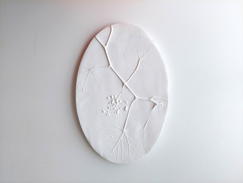 Modernist Bas-relief Art Work. White 3d Wall Panels. Handmade Botanical ...