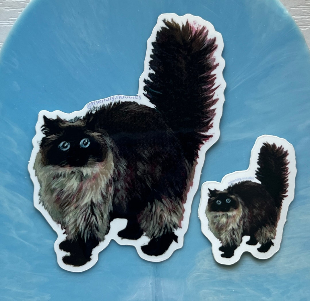 Noodle Zoomies Sticker - Etsy