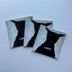 LARRY. 3x3" Sticker, Vinyl, Black Cat, Memes, Funny, Gif, Spooky, Scary ...