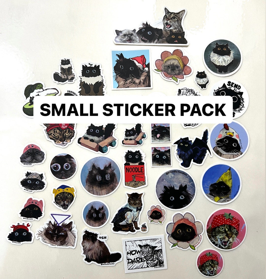 Small Sticker Pack 38 Stickers Included - Etsy