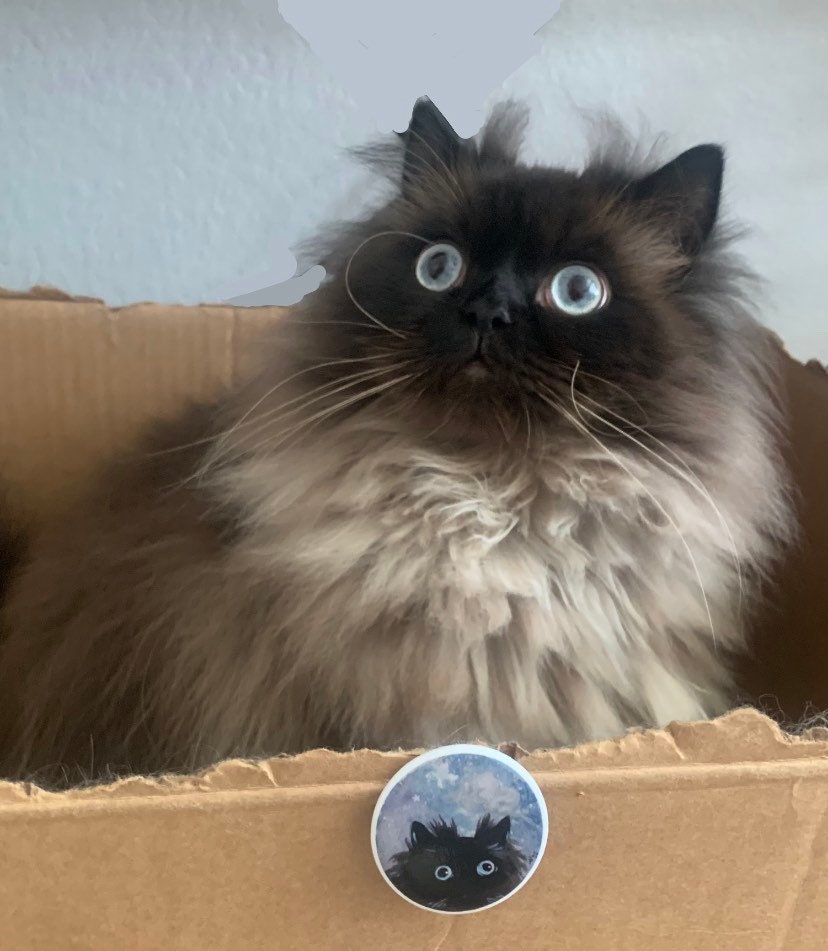 Noodle Buttons Cute Cat Pins Cat Button Googely Eyes - Etsy