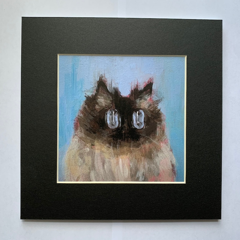 Salinas Cat - Etsy