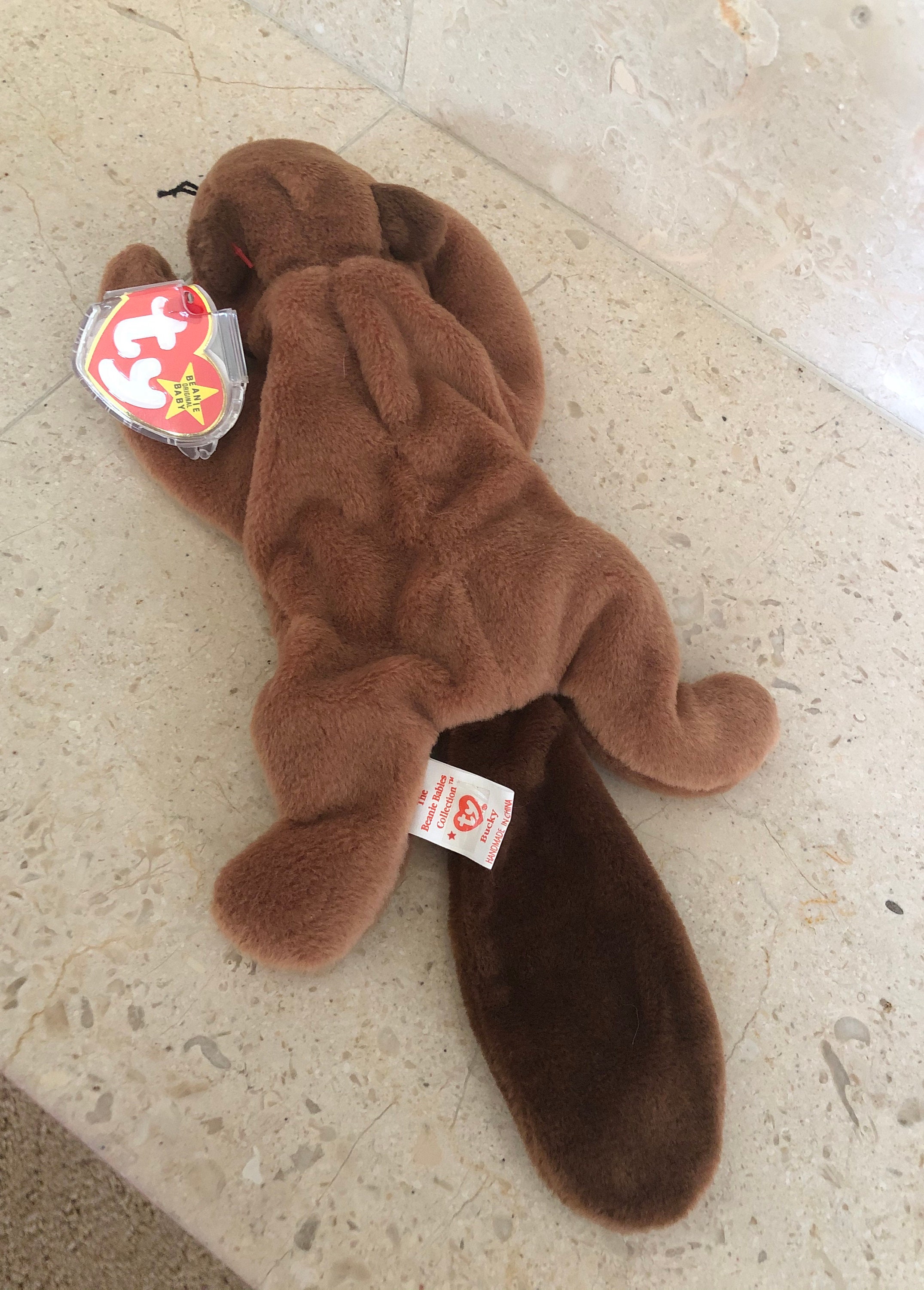 Bucky the Beaver Beanie Baby - Etsy