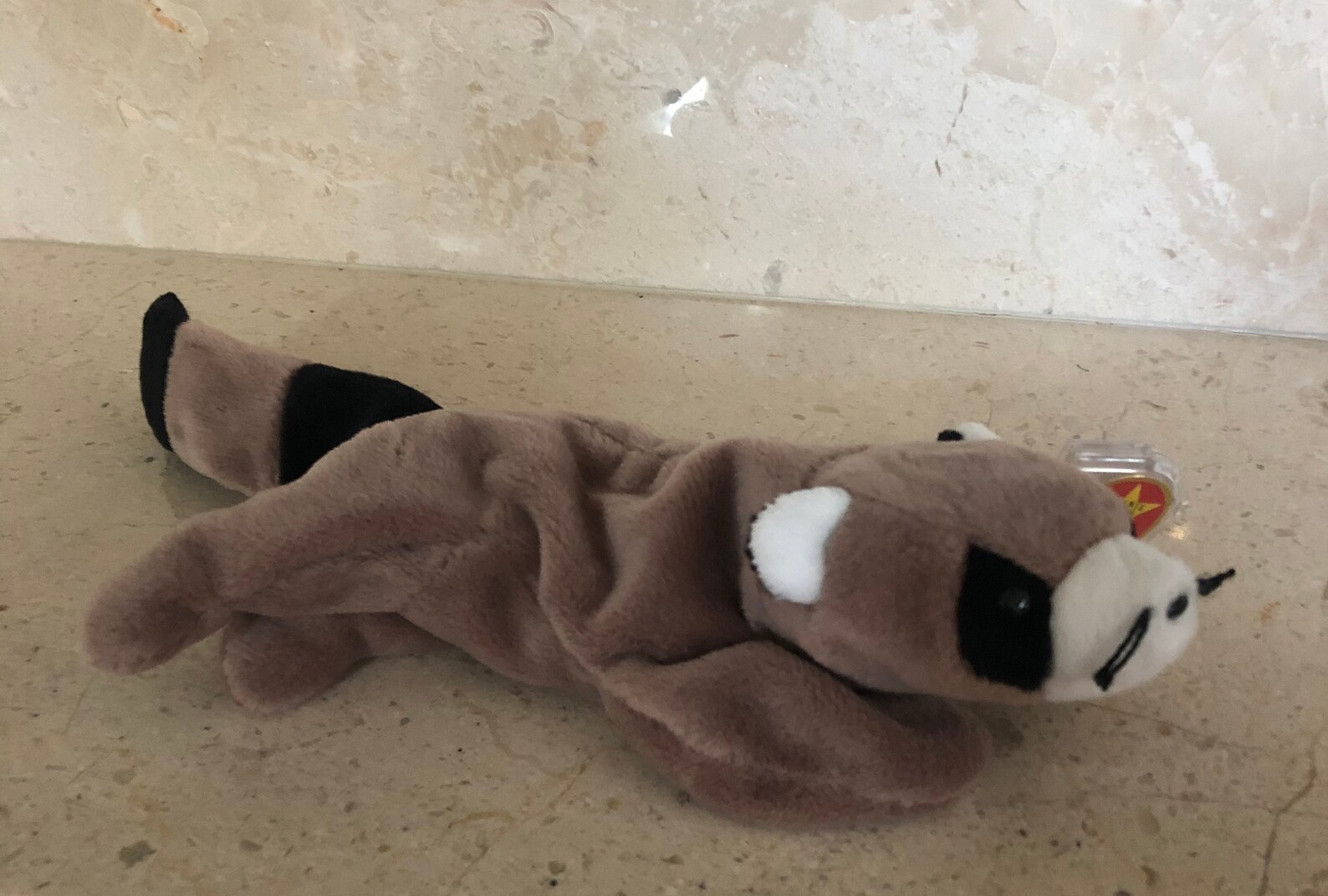 Ringo the Raccoon the Beanie Baby - Etsy