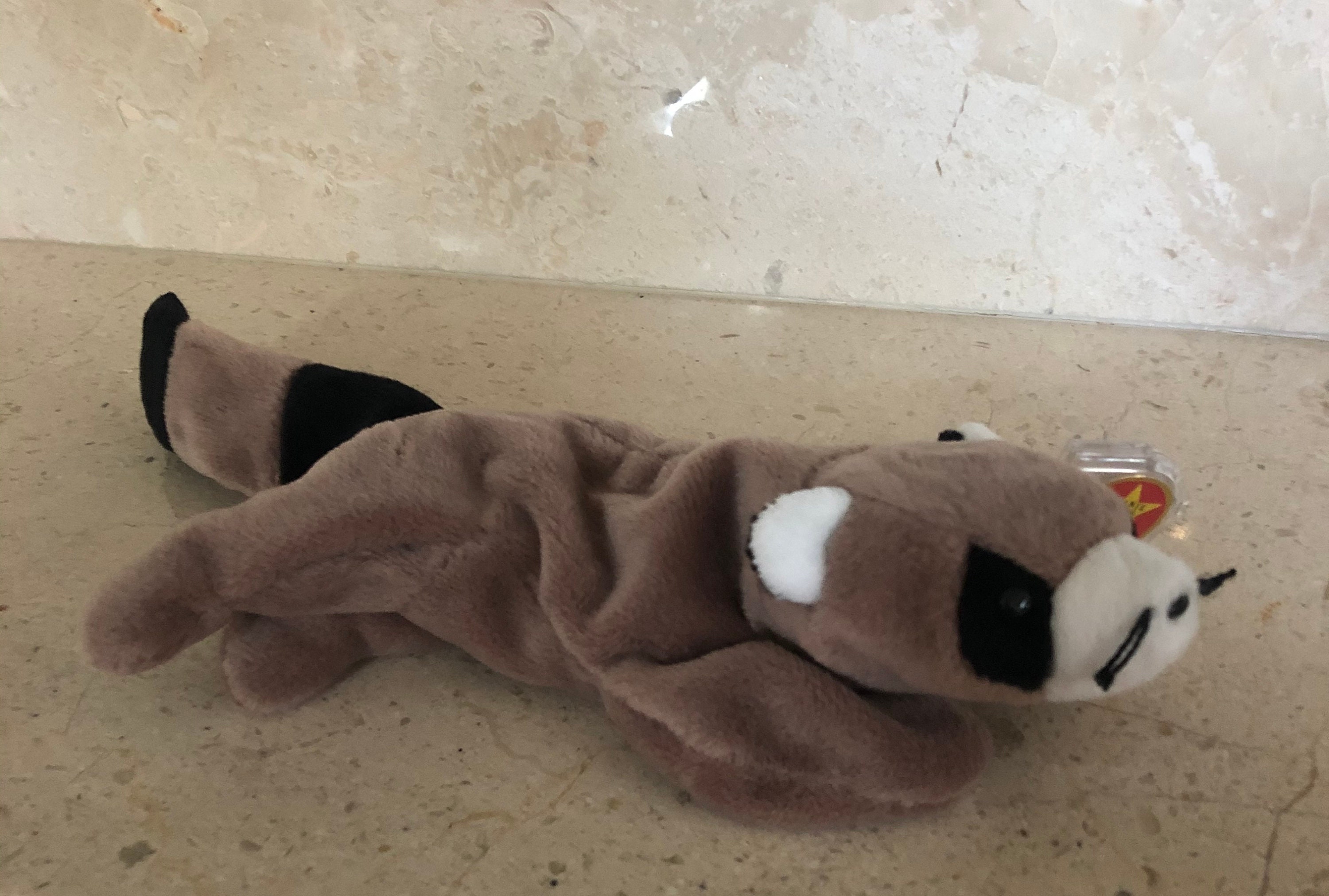 Ringo the Raccoon the Beanie Baby - Etsy
