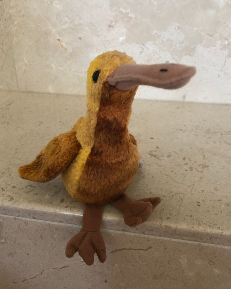 Beak the Kiwi Bird Beanie Baby - Etsy