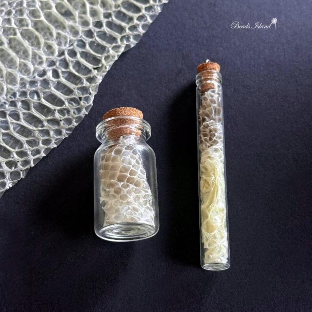 Natural Snake Shed Skin in the Bottle, Snake Skin Vial, Reptile Shed ...