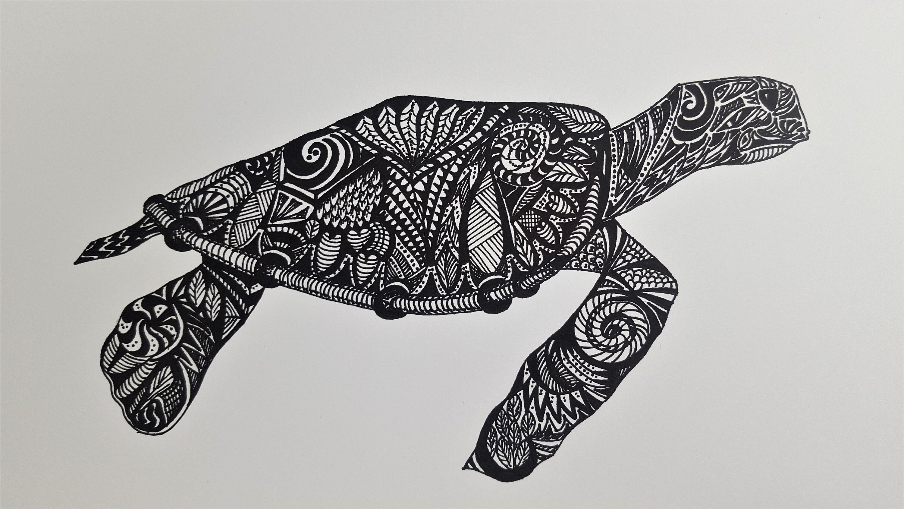 Art Print of My Original Turtle Drawing in Black Pen on White Paper ...