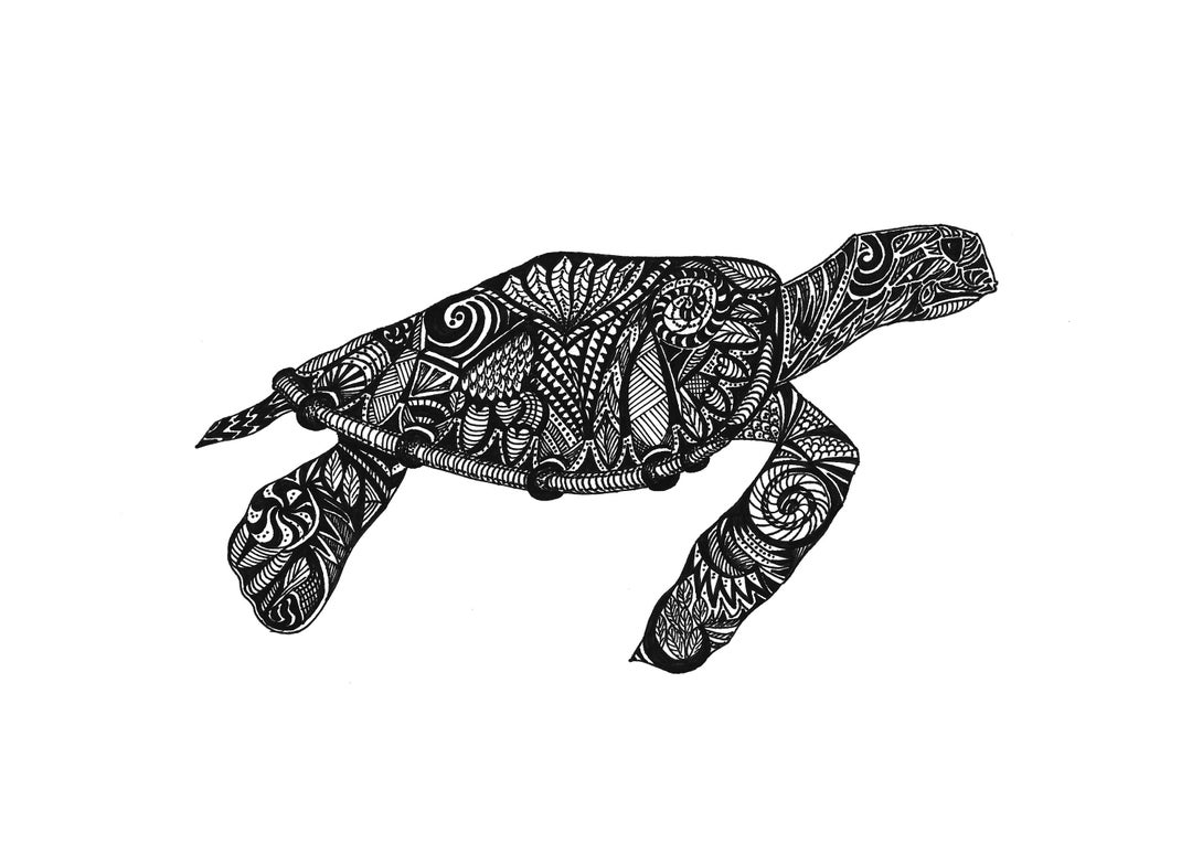 Art Print of My Original Turtle Drawing in Black Pen on White Paper ...