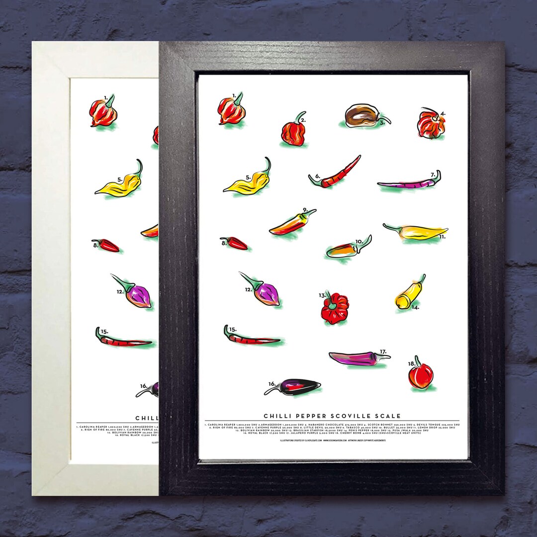 Chilli Pepper Poster Illustrated Chilli Peppers Kitchen Art A4 A3 A2 A1 ...