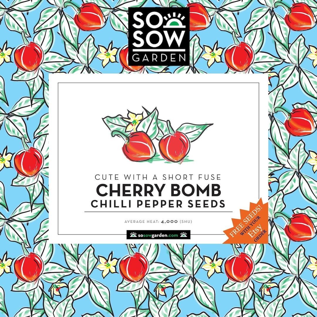Cherry Bomb 20 Organic Chilli Pepper Seeds: High Germination Rate, Free ...