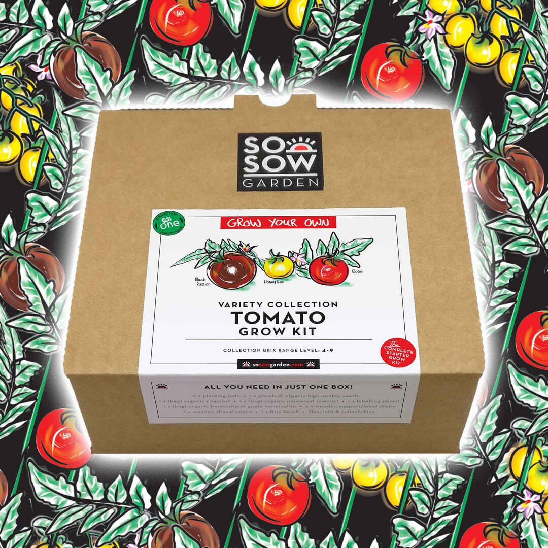 Grow Your Own Tomatoes Tomato Grow Kit Tomato Variety Pack Vol 1 Tomato ...