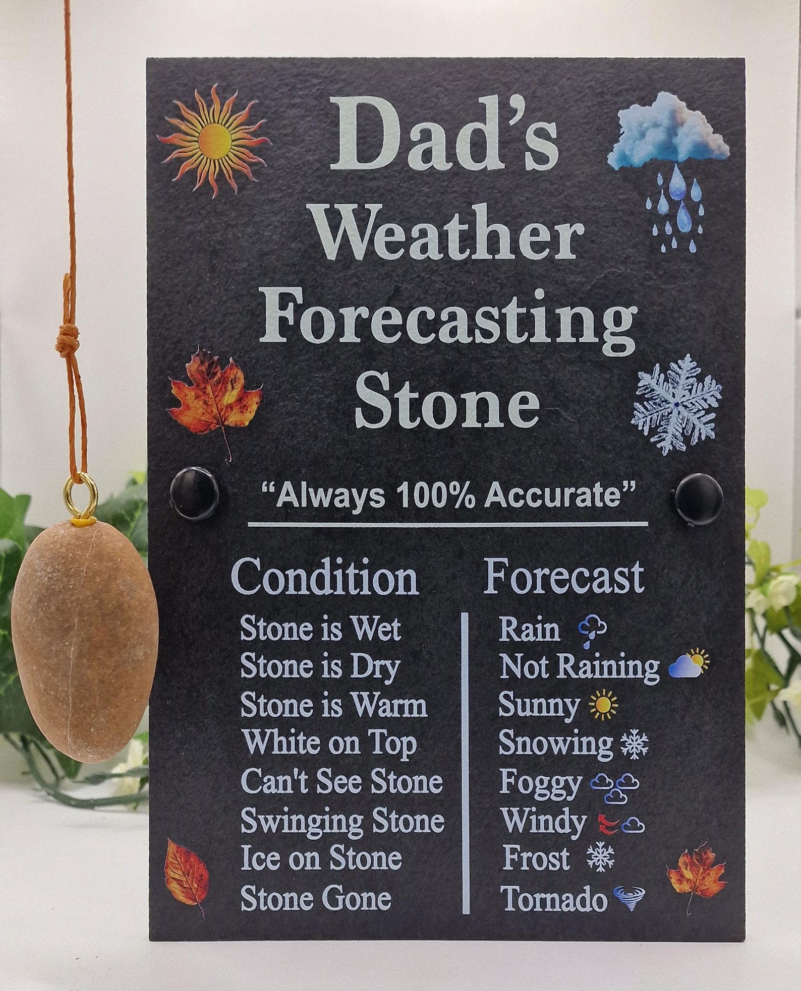 Personalised Weather Forecasting Stone, Funny Slate Sign - Etsy UK