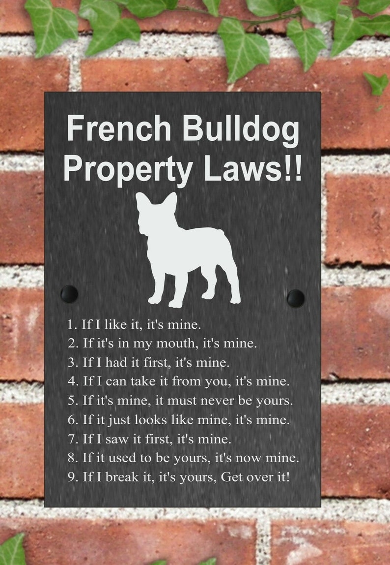 Dog Funny Property Laws Slate House Sign ANY BREED AVAILABLE | Etsy