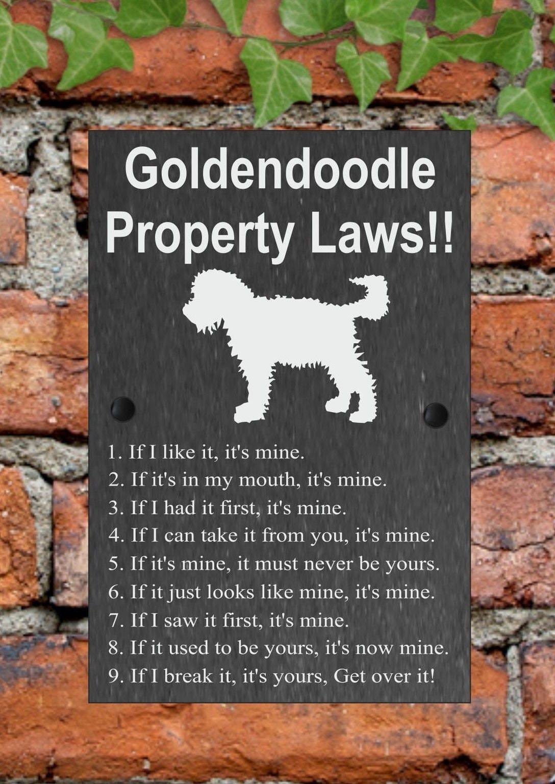 Dog Funny Property Laws Slate House Sign ANY BREED AVAILABLE - Etsy UK