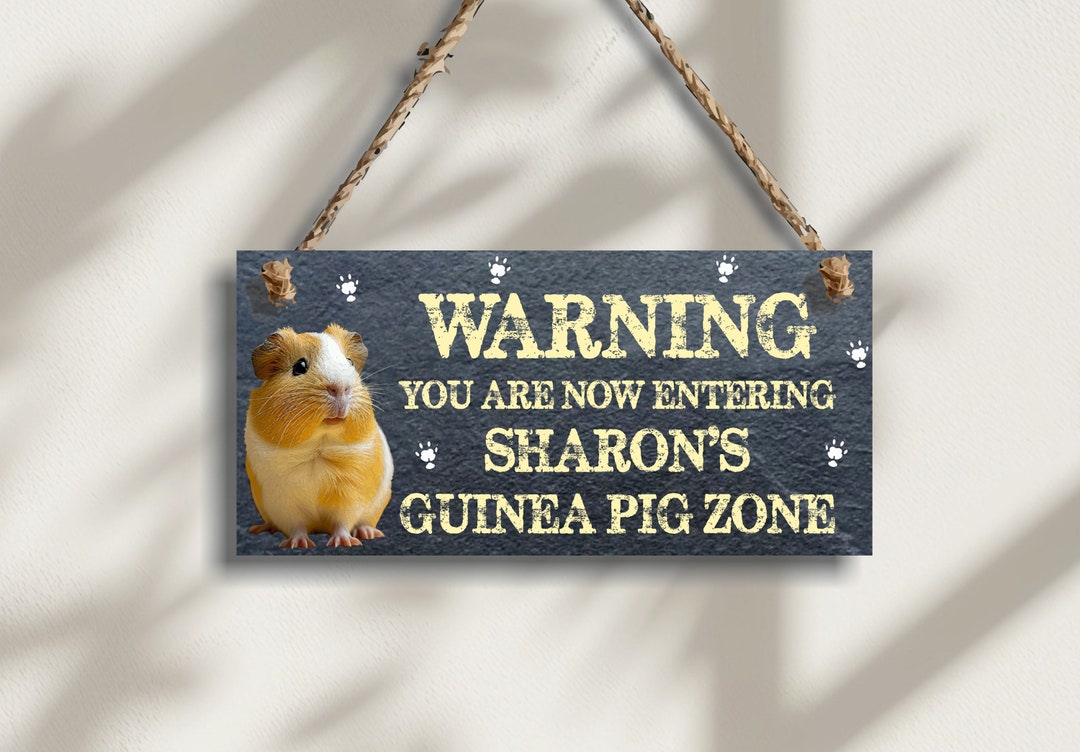 Personalised Guinea Pig Zone Slate Sign - Weatherproof Gift - Etsy