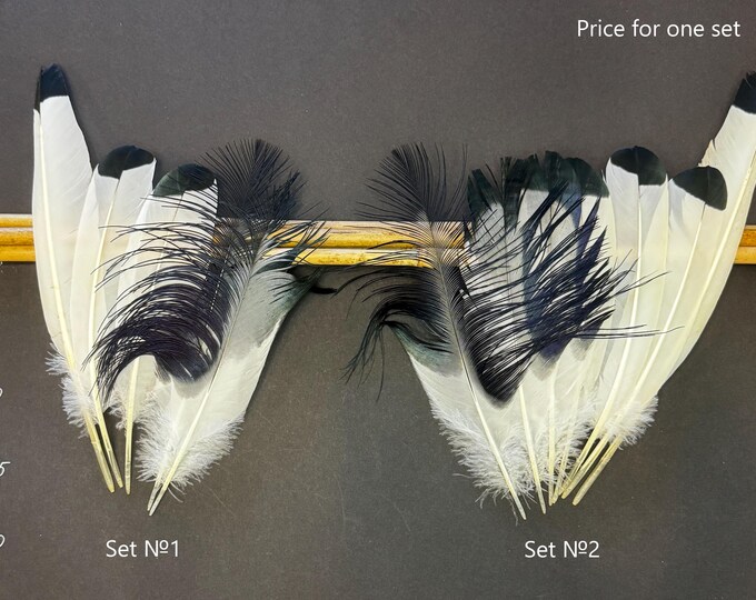 Natural Ibis Feather – Cruelty Free | Naturally Molted or Old Taxidermy ...