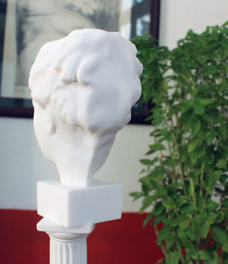 Salus Ancient Roman Goddess of Health Roman Bust 7.5in | Etsy