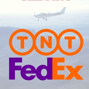 Salus Ancient Roman Goddess of Health Roman Bust, 7.5in - Etsy