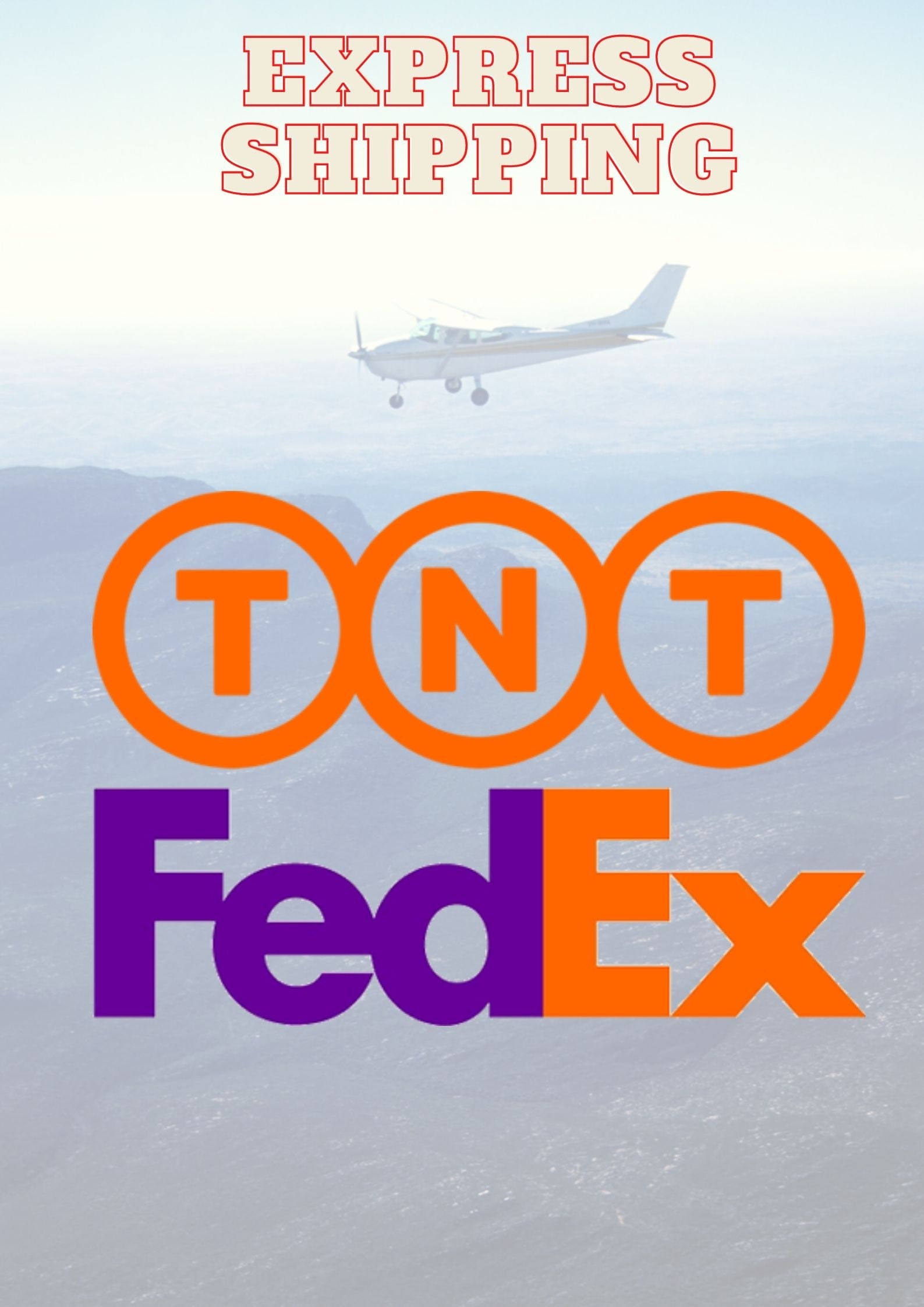 Salus Ancient Roman Goddess of Health Roman Bust 7.5in - Etsy