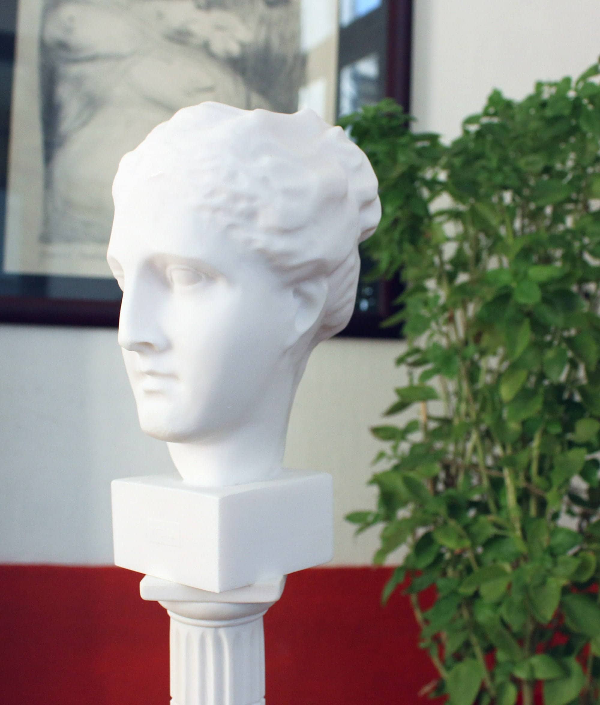 Salus Ancient Roman Goddess of Health Roman Bust 7.5in - Etsy