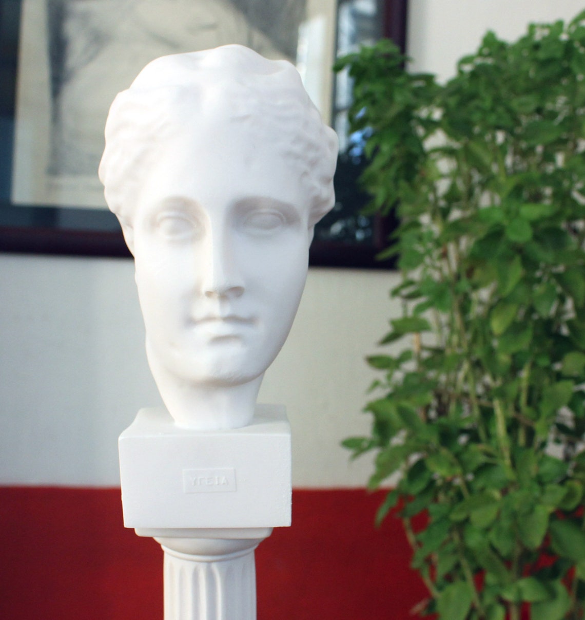 Salus Ancient Roman Goddess of Health Roman Bust 7.5in | Etsy