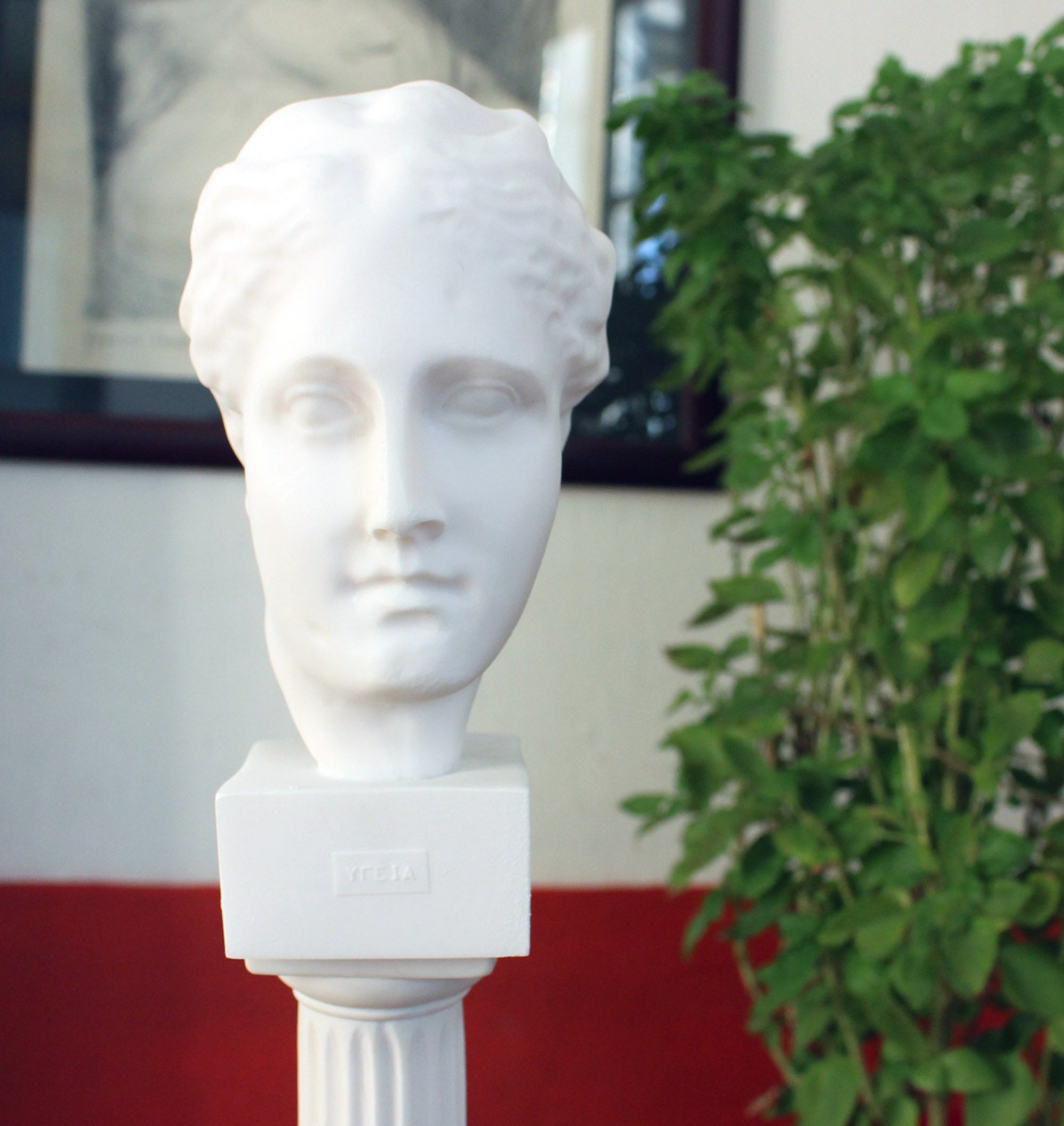 Salus Ancient Roman Goddess of Health Roman Bust 7.5in - Etsy