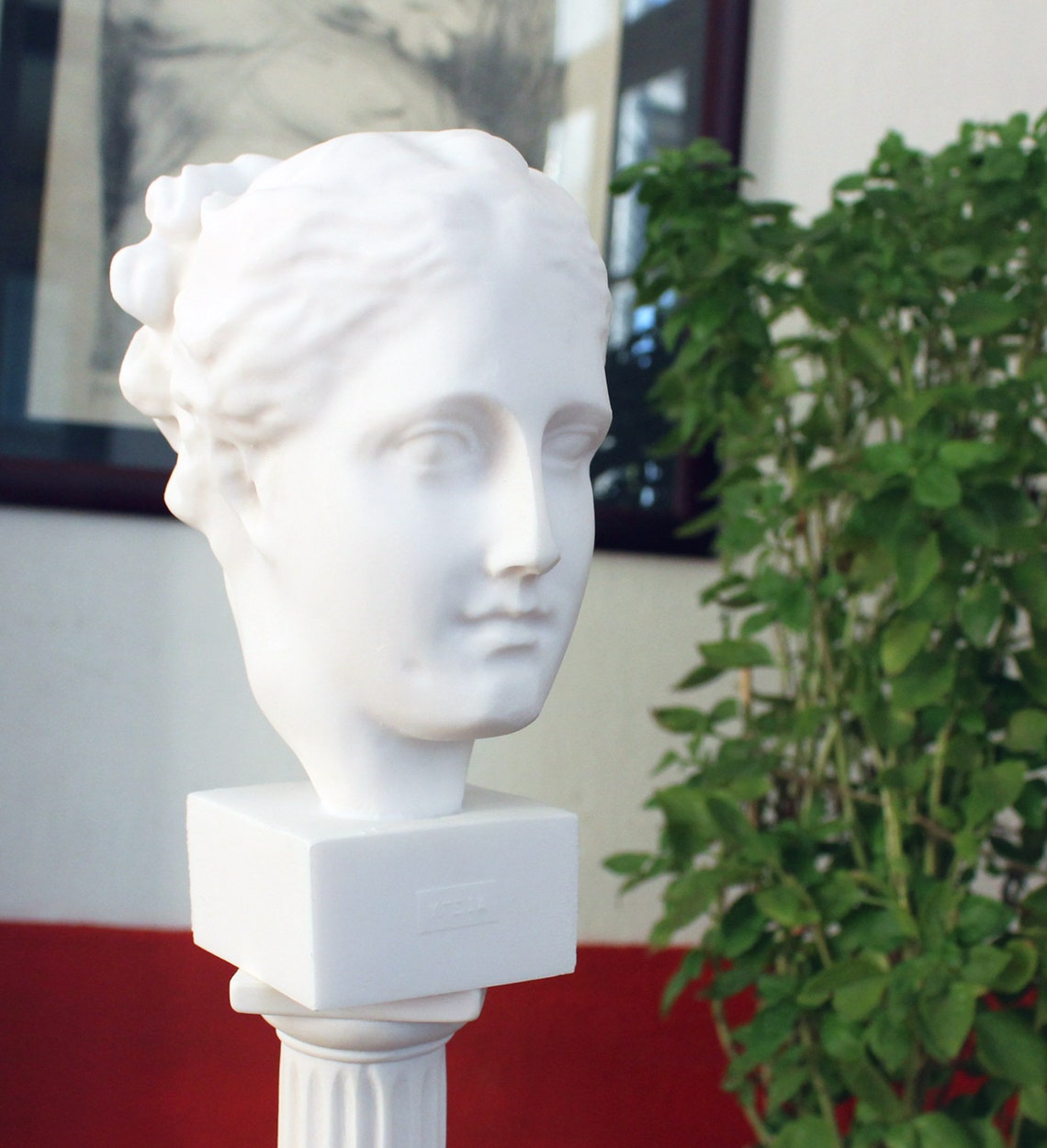 Salus Ancient Roman Goddess of Health Roman Bust 7.5in - Etsy