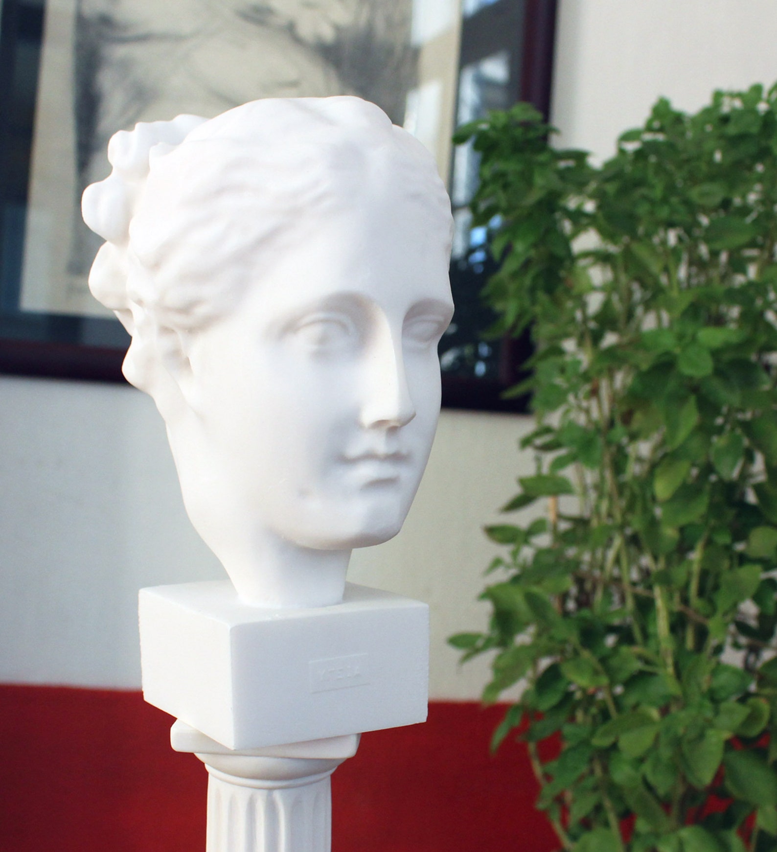 Salus Ancient Roman Goddess of Health Roman Bust 7.5in - Etsy