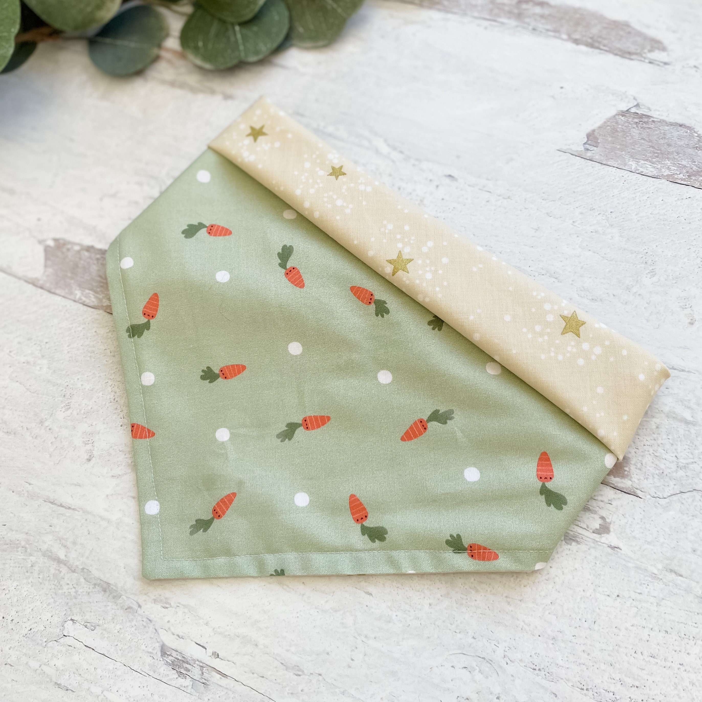 Little Carrot Bandana