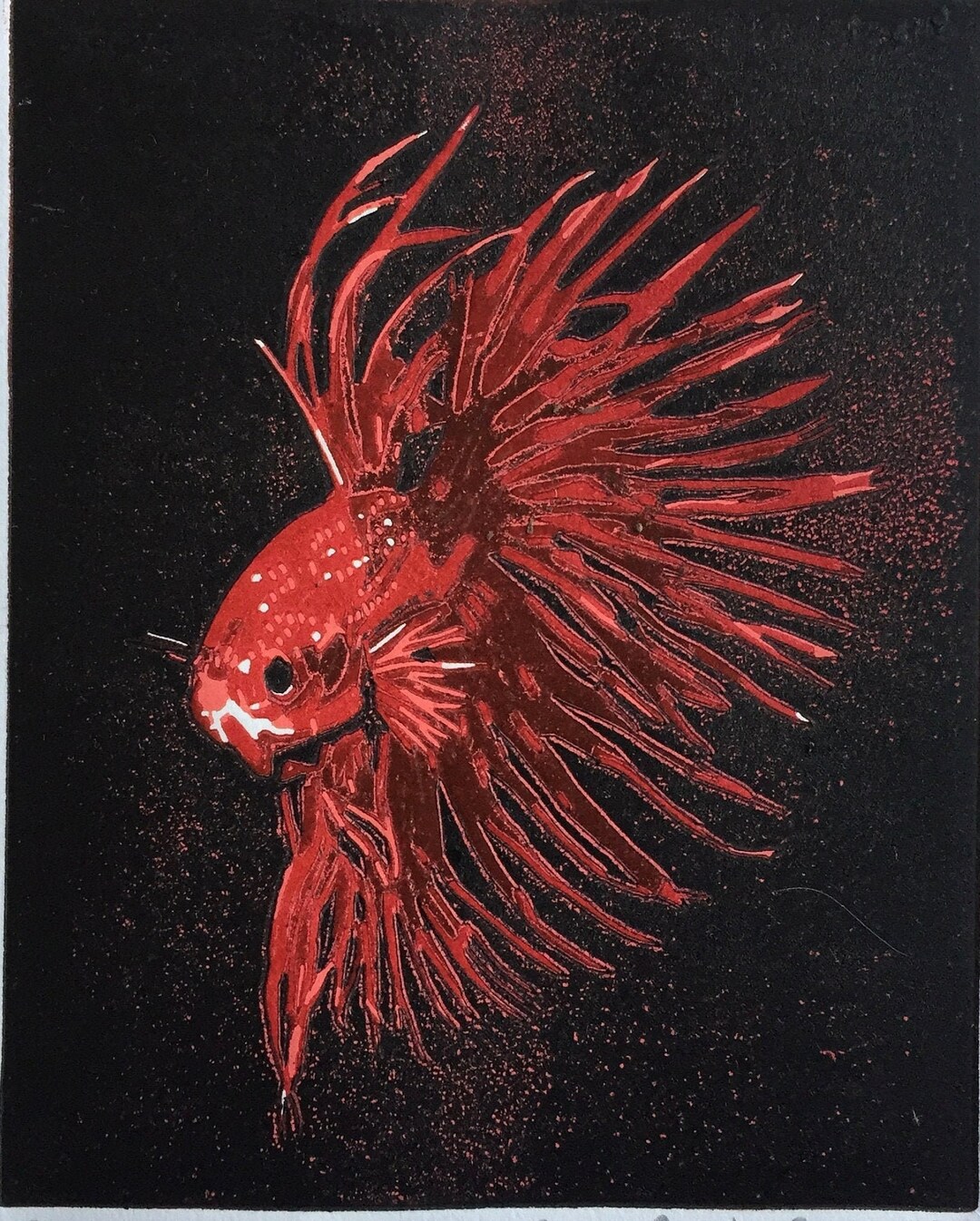 Siamese Betta Betta Splendens Labyrinth Fish art Print - Etsy