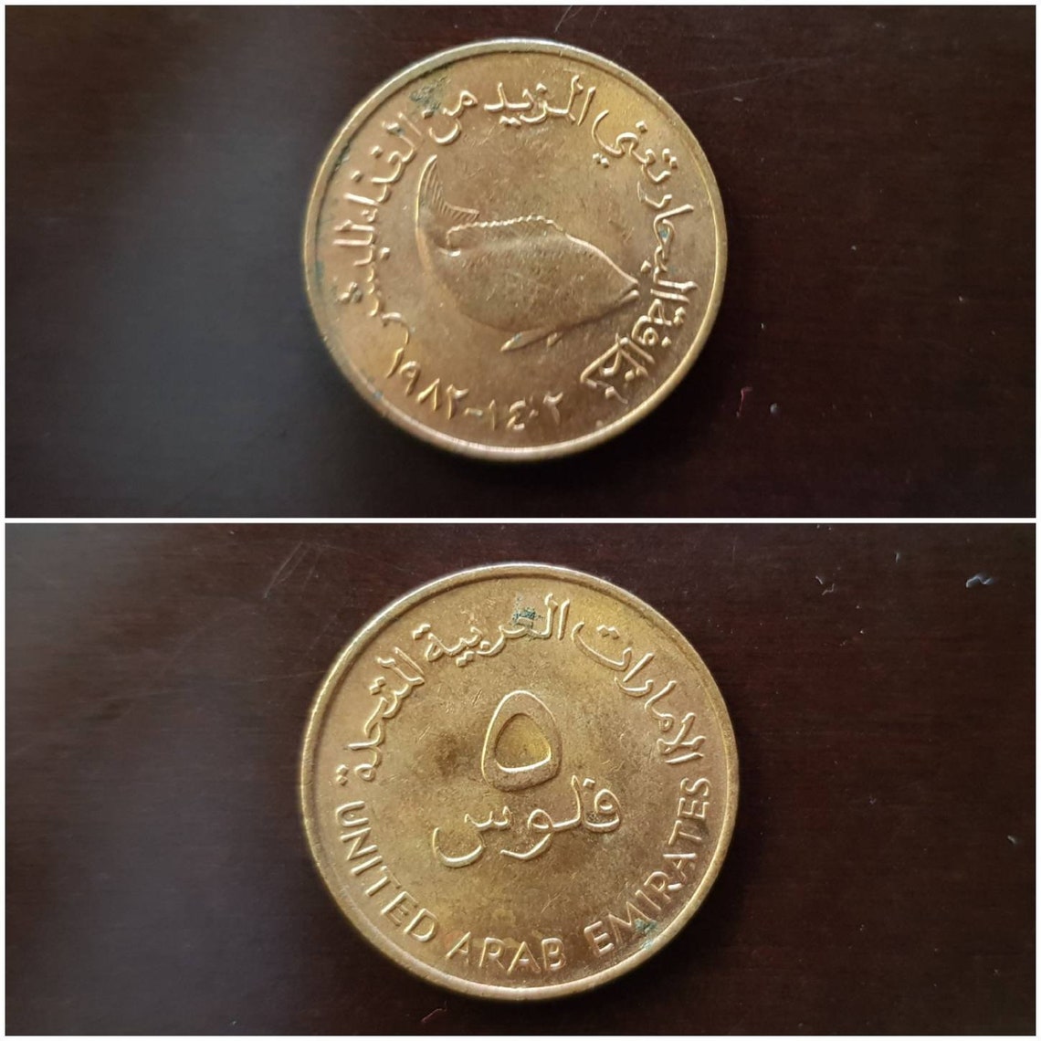Coin UAE United Arab Emirates 1973 1989. Option for 5 Fils / 10 Fils. F ...
