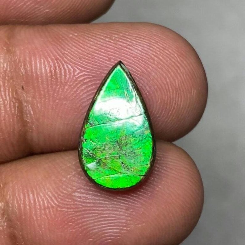 Natural Ammolite Cabochon Shape Pear Loose Gemstone Size 15x9x4 Mm ...