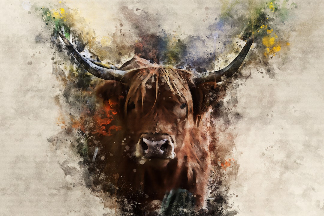 Highland Cow Canvas Art Highland Cow Art Scottish Highland Cow Canvas ...